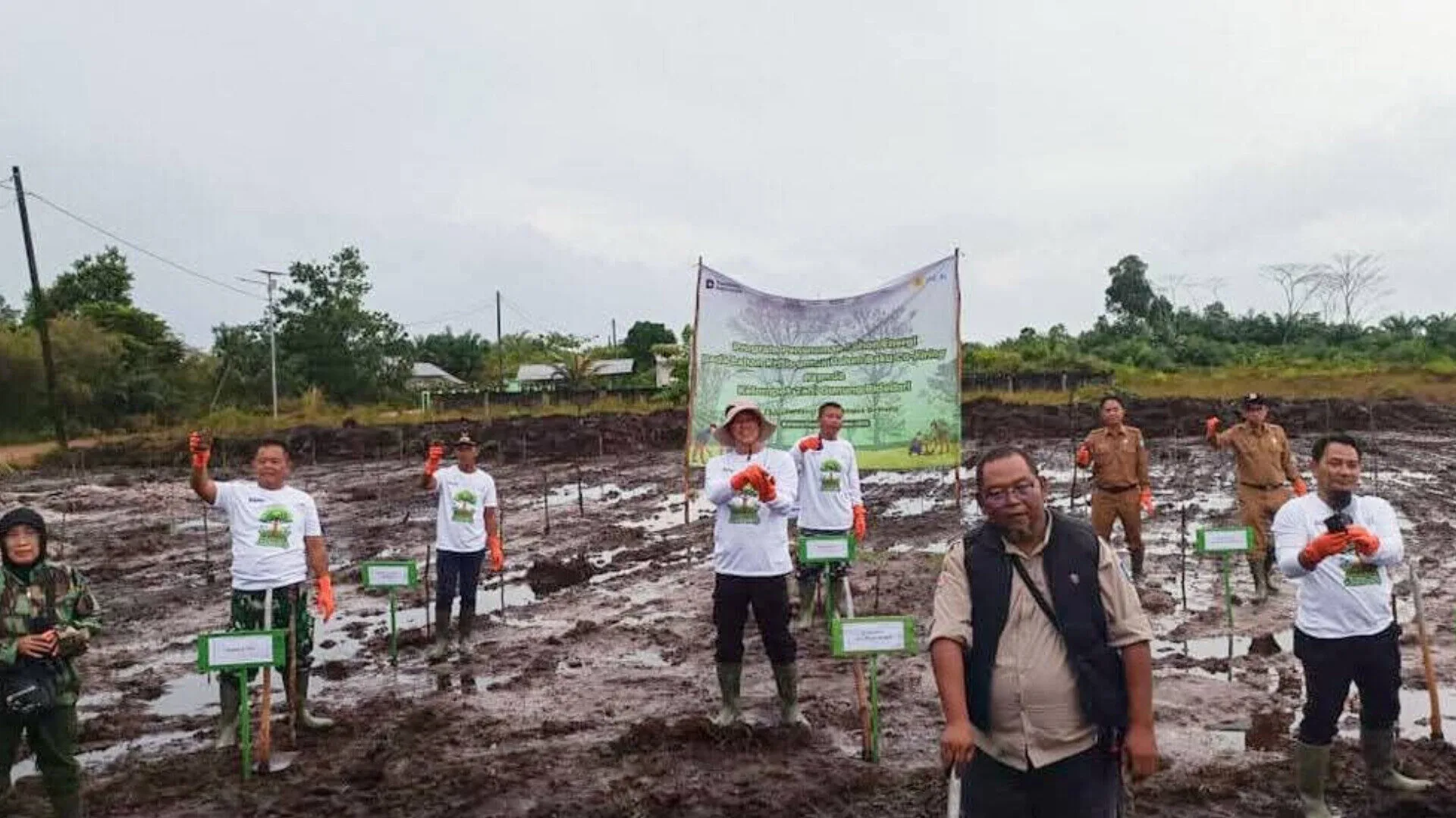 Penanaman Pohon Energi Di Lahan Kritis Dendang Dilaksanakan ...